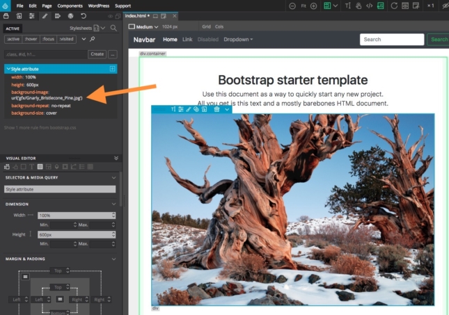 CSS/SASS path issue when using Background image attribute | Pinegrow Web Editor
